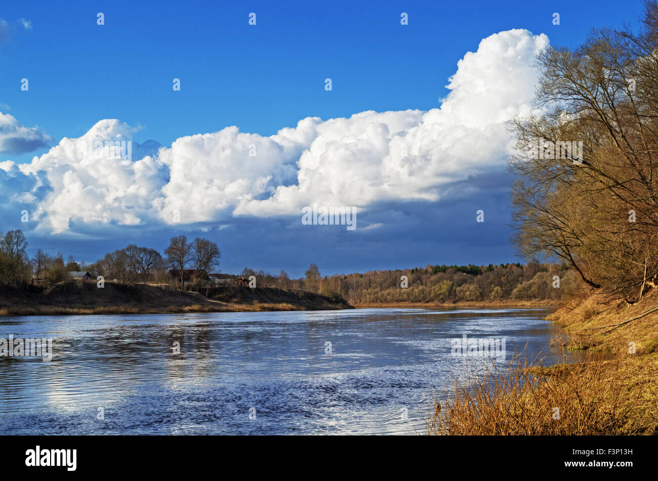 Spring river landscape with dry grass Stock Photo - Alamy