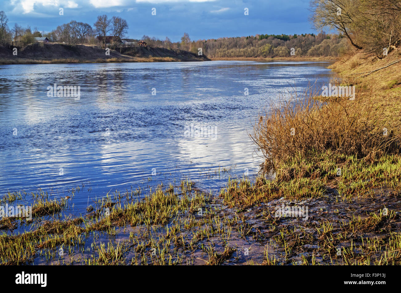 Spring river landscape with dry grass Stock Photo - Alamy