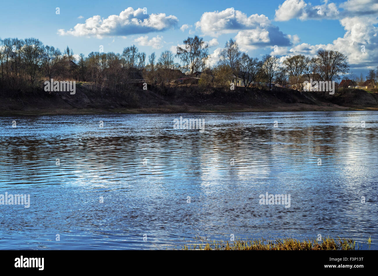 Spring river landscape with dry grass Stock Photo - Alamy