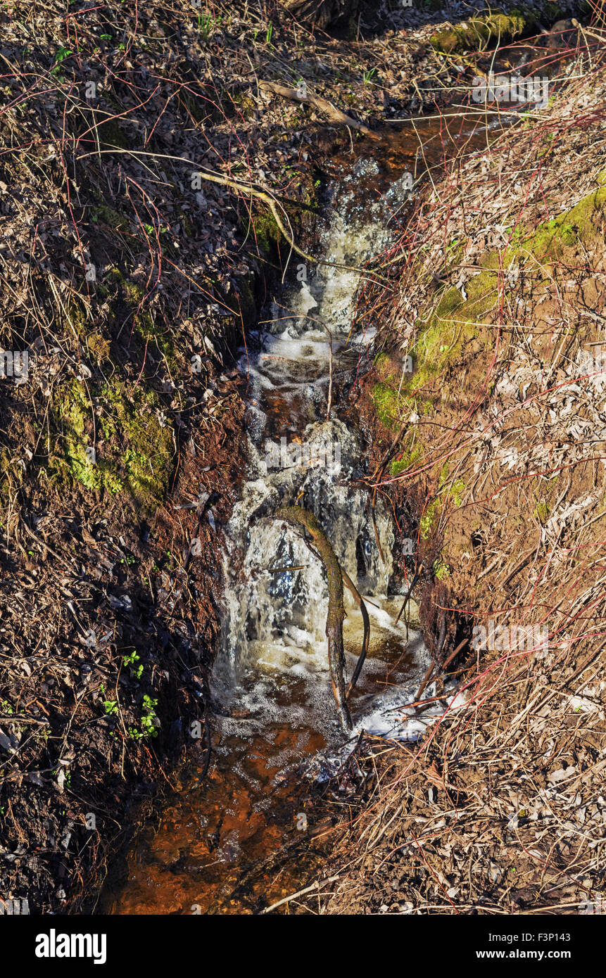 Spring forest landscape with stream Stock Photo - Alamy