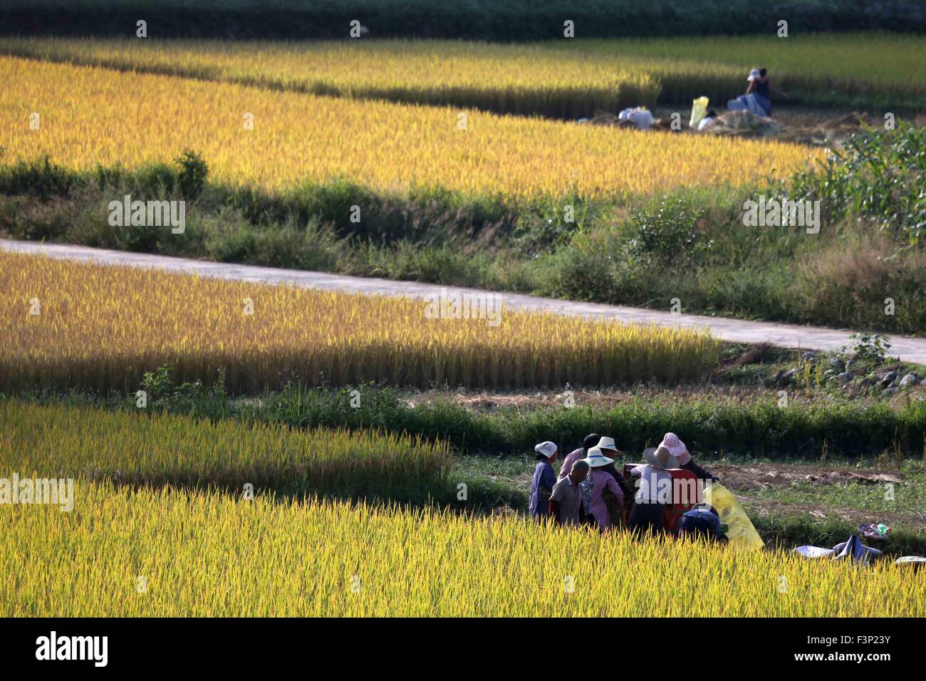 Nanning, China's Guangxi Zhuang Autonomous Region. 6th Oct, 2015 ...