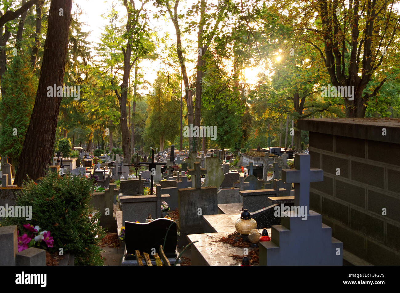 Tree over cemetery hi-res stock photography and images - Alamy