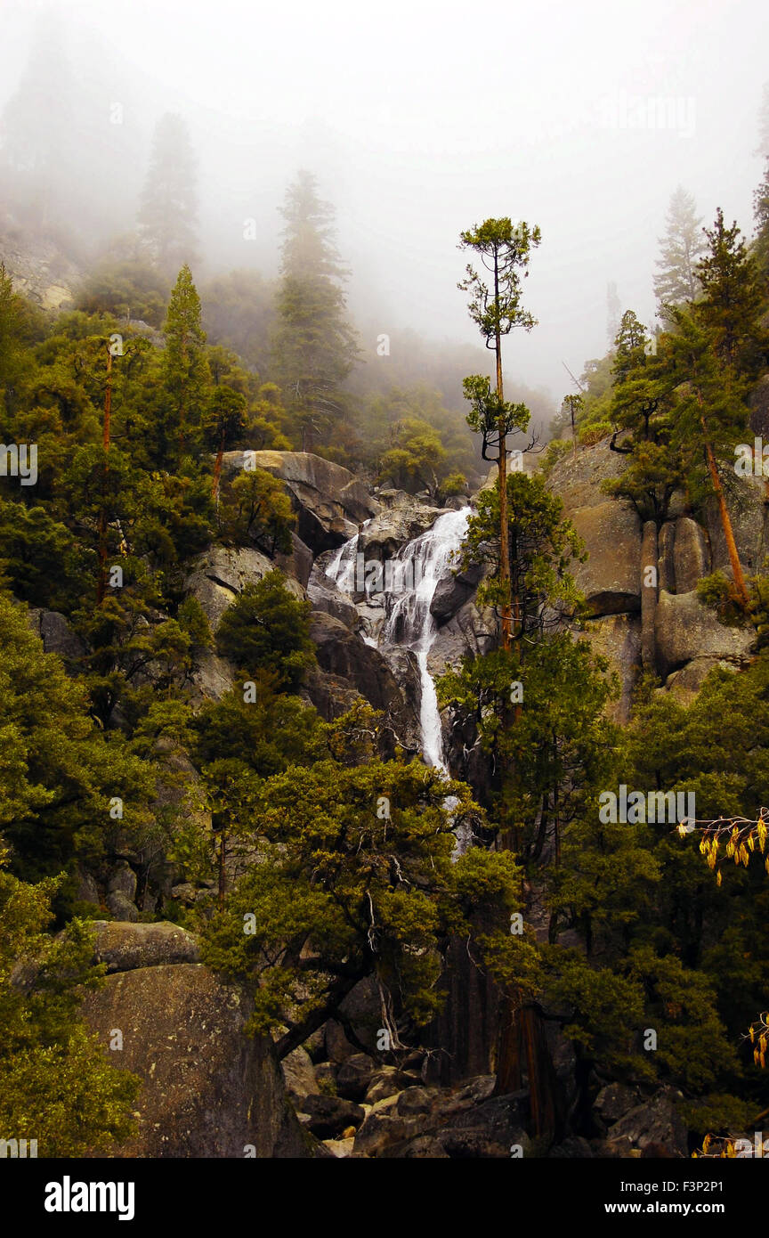 trees and waterfall in the clouds Stock Photo - Alamy