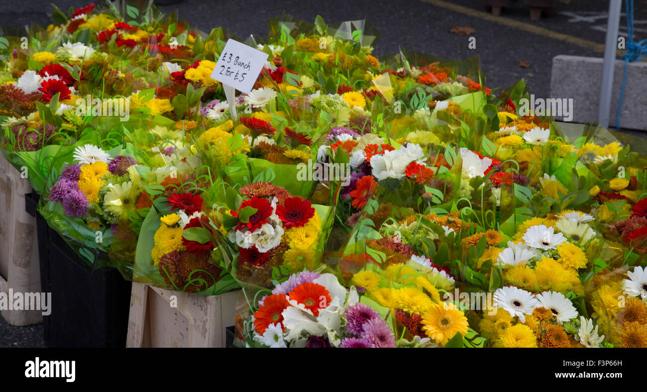 Colorful market stall of flowers Stock Photo - Alamy