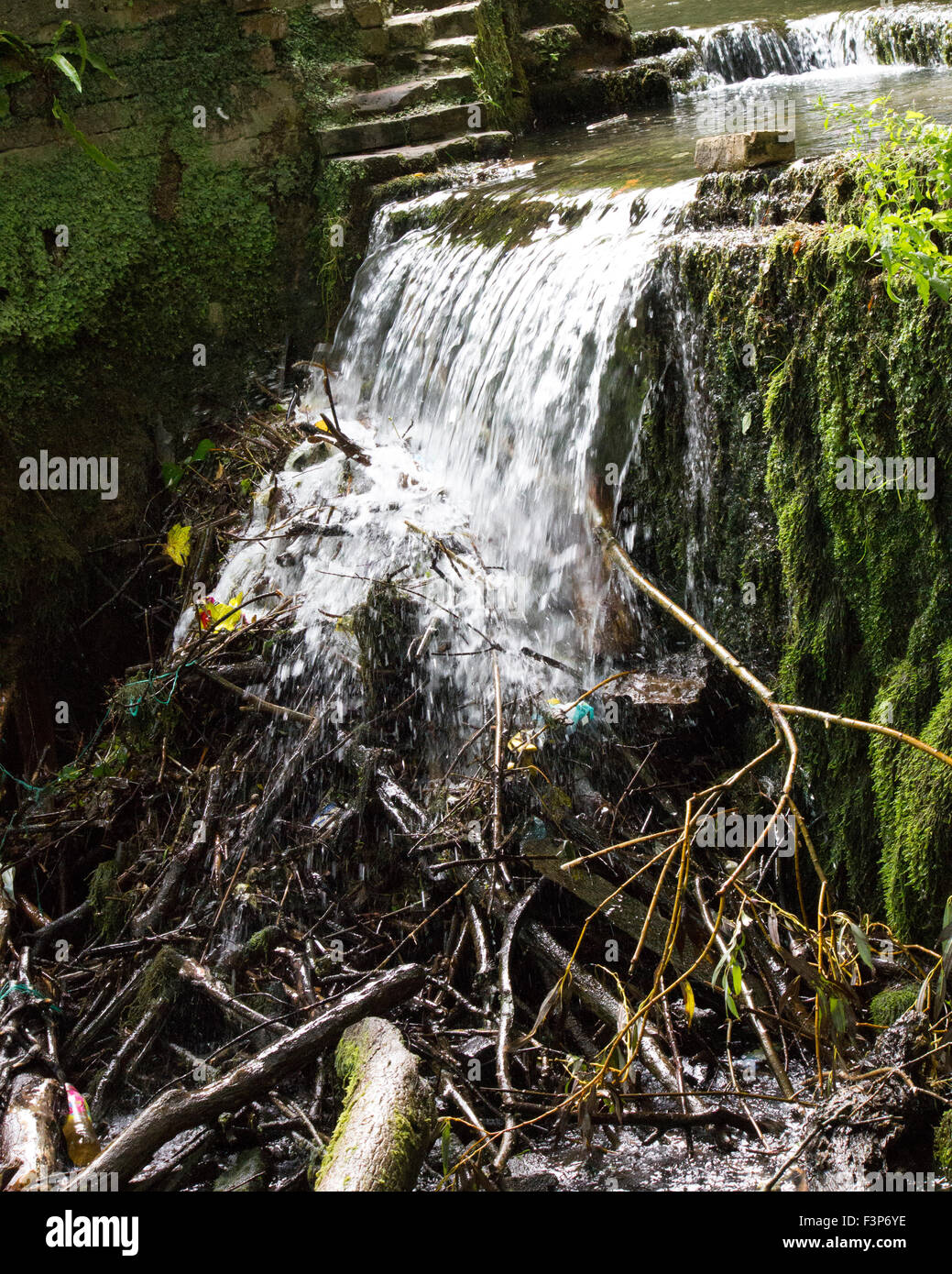 Small Waterfall flowing on to a pile of branches and sticks that have ...