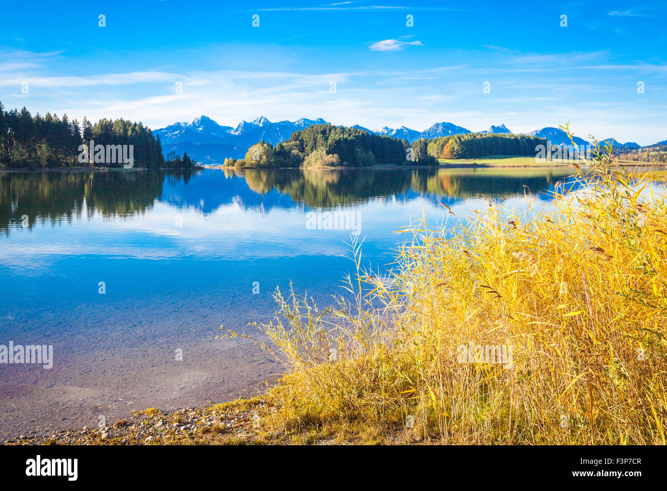 Lake forggensee allgaeu bavaria germany hi-res stock photography and ...