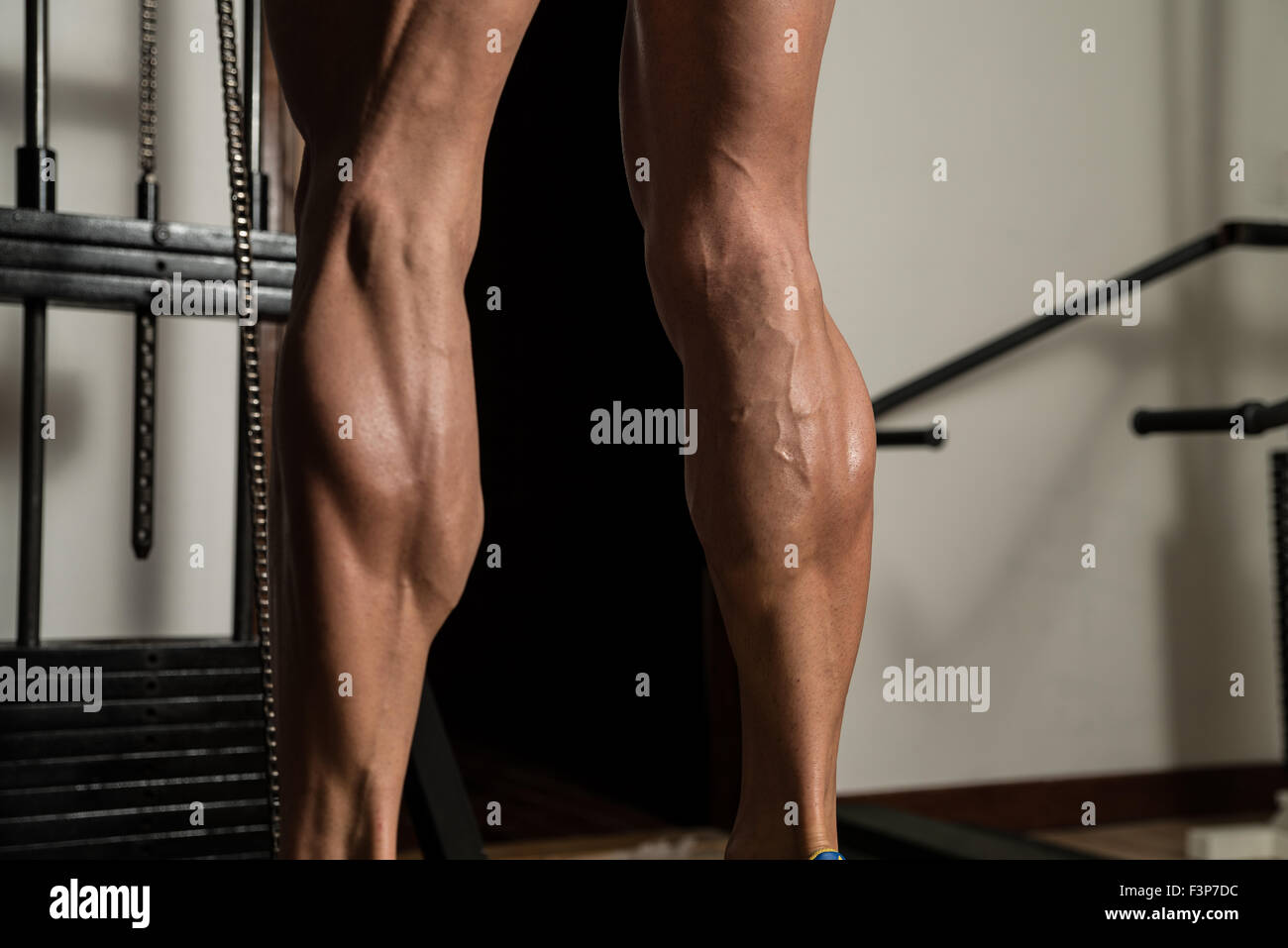 Bodybuilder Doing Heavy Weight Exercise For Legs Calves Stock Photo - Alamy