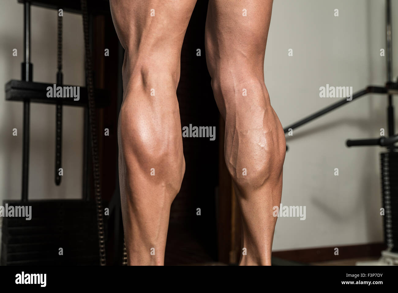 Calf muscle bodybuilder body hi-res stock photography and images - Alamy