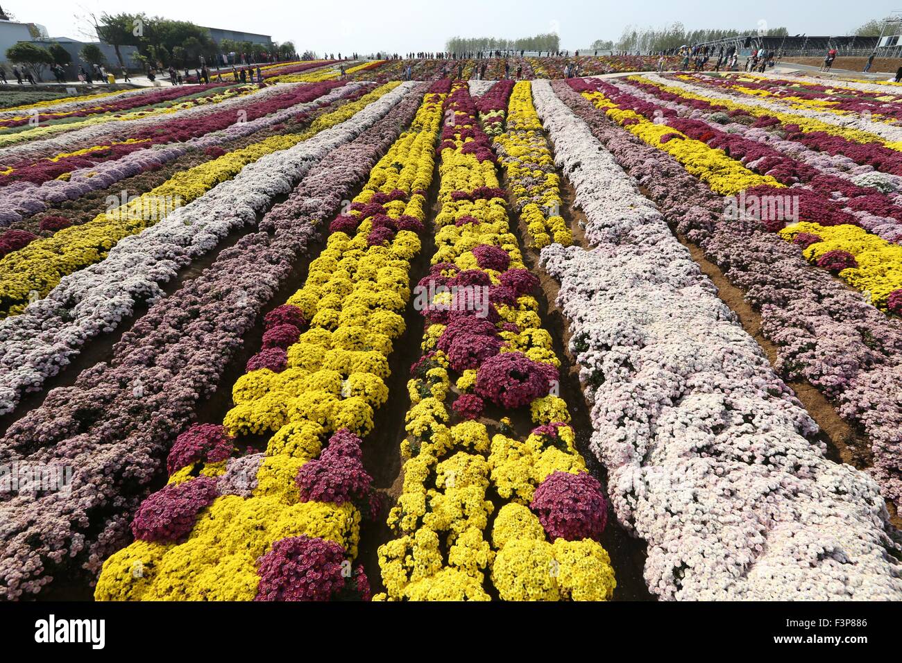 Chuzhou, China's Anhui Province. 11th Oct, 2015. Visitors view ...