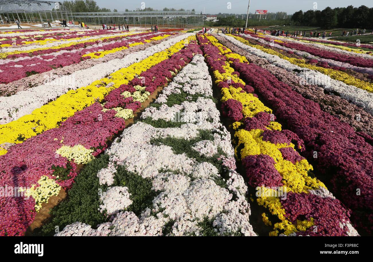 Chuzhou hi-res stock photography and images - Alamy