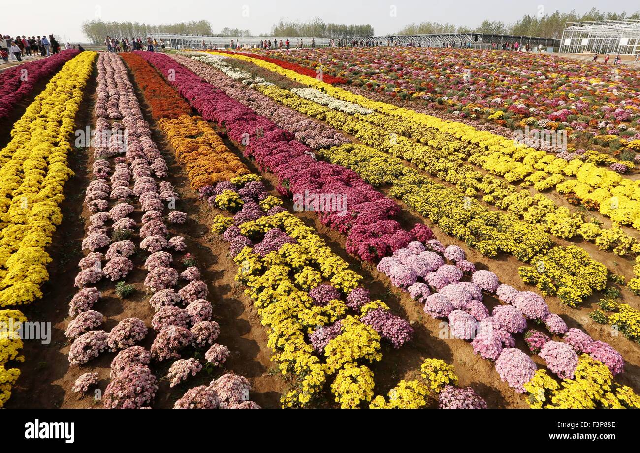 Chuzhou hi-res stock photography and images - Alamy