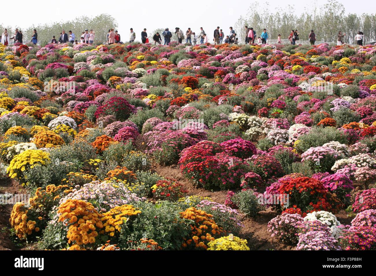 Chuzhou, China's Anhui Province. 11th Oct, 2015. Visitors view ...