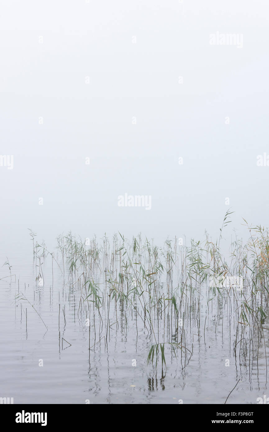 Misty weather hi-res stock photography and images - Alamy