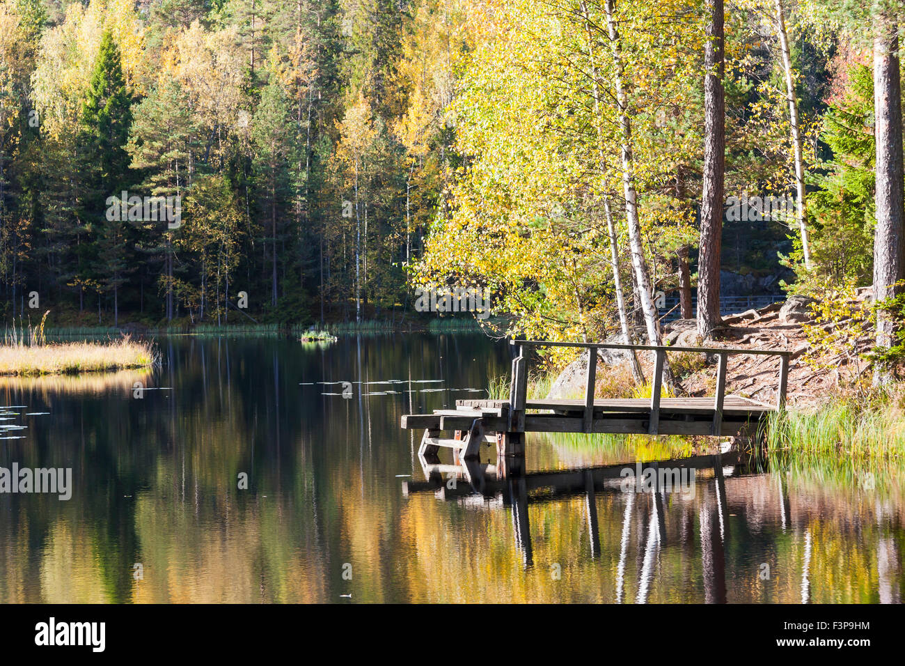 Small swimming bridge in a lake surrounded by colorful autumn forest ...
