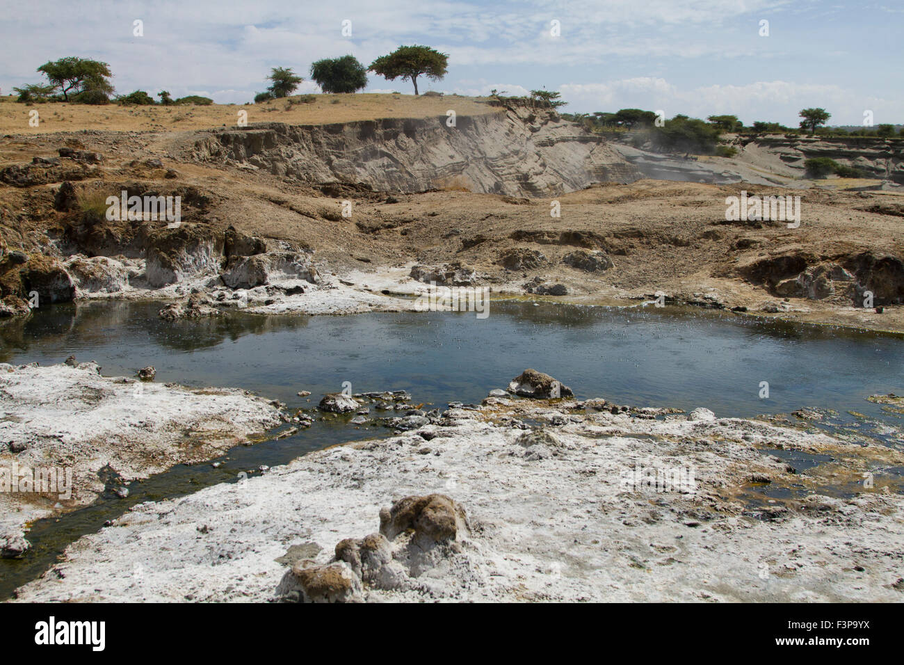 Lake Abijatta, Abijatta-Shalla National Park, Ethiopia Stock Photo - Alamy