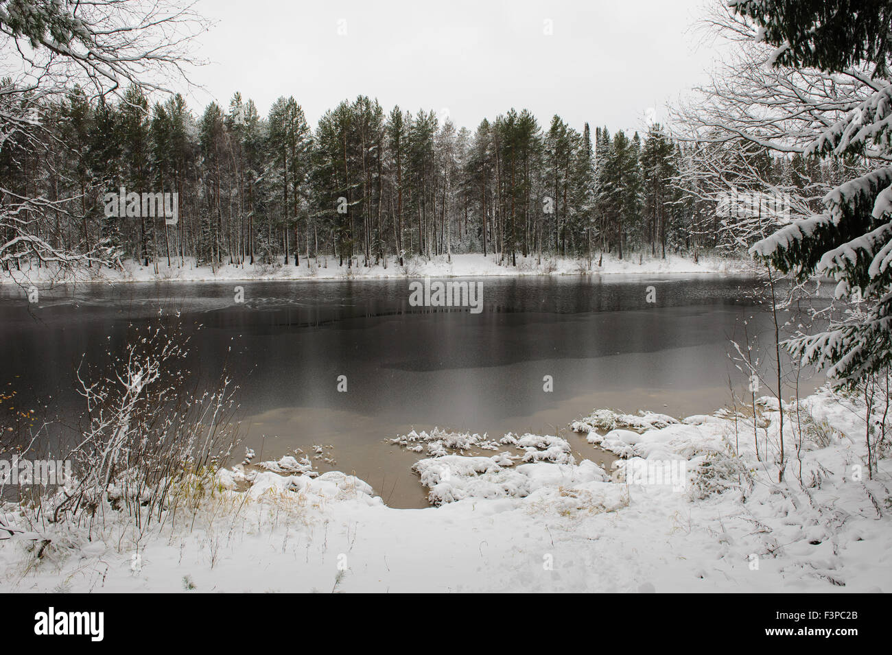 Forest lake in beginning of winter Stock Photo - Alamy