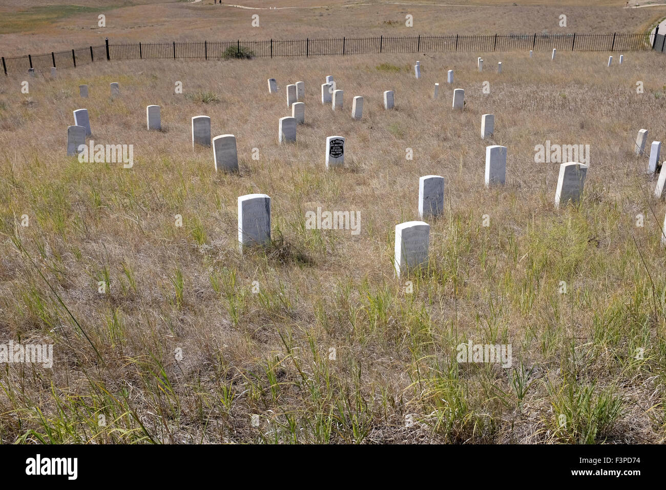 Last Stand Hill, where General George Armstrong Custer and many in his ...