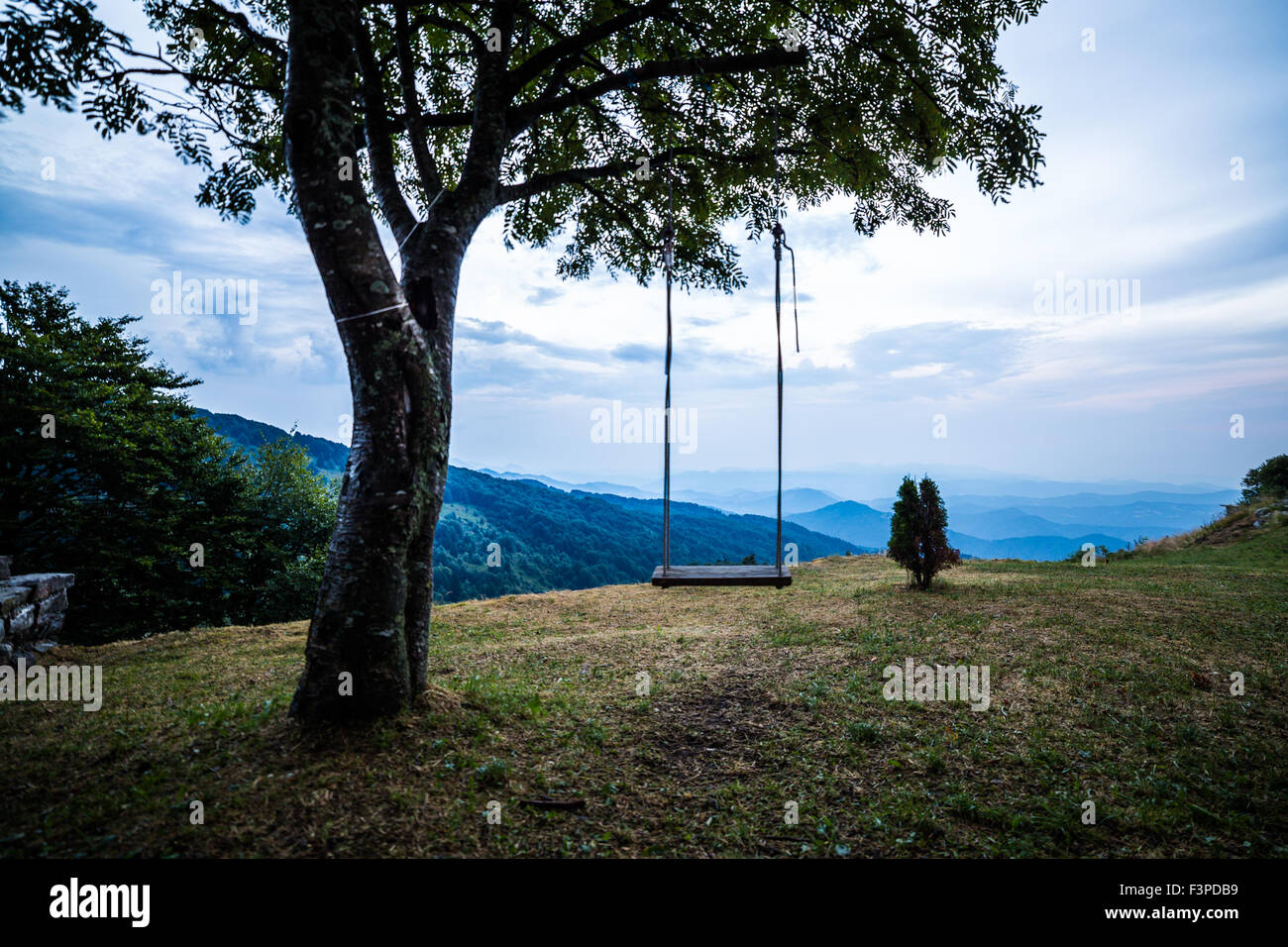 Grass in field swing wind hi-res stock photography and images - Alamy