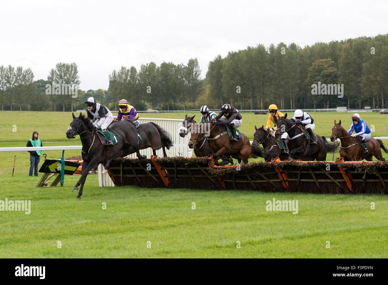 Horses in a hurdles race at Towcester Races, Northamptonshire, England ...