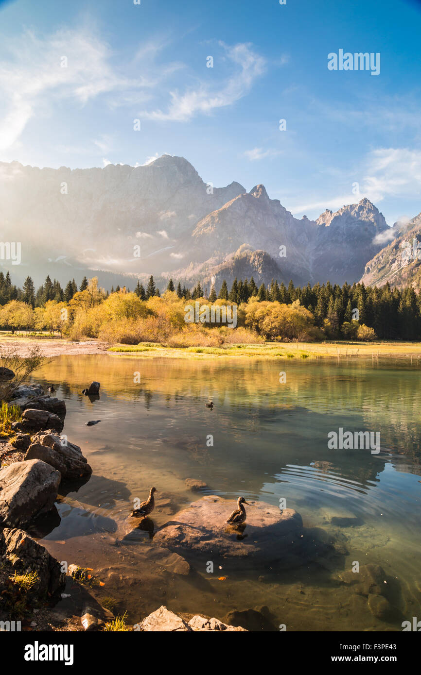 Fall is coming in the italian alps Stock Photo - Alamy