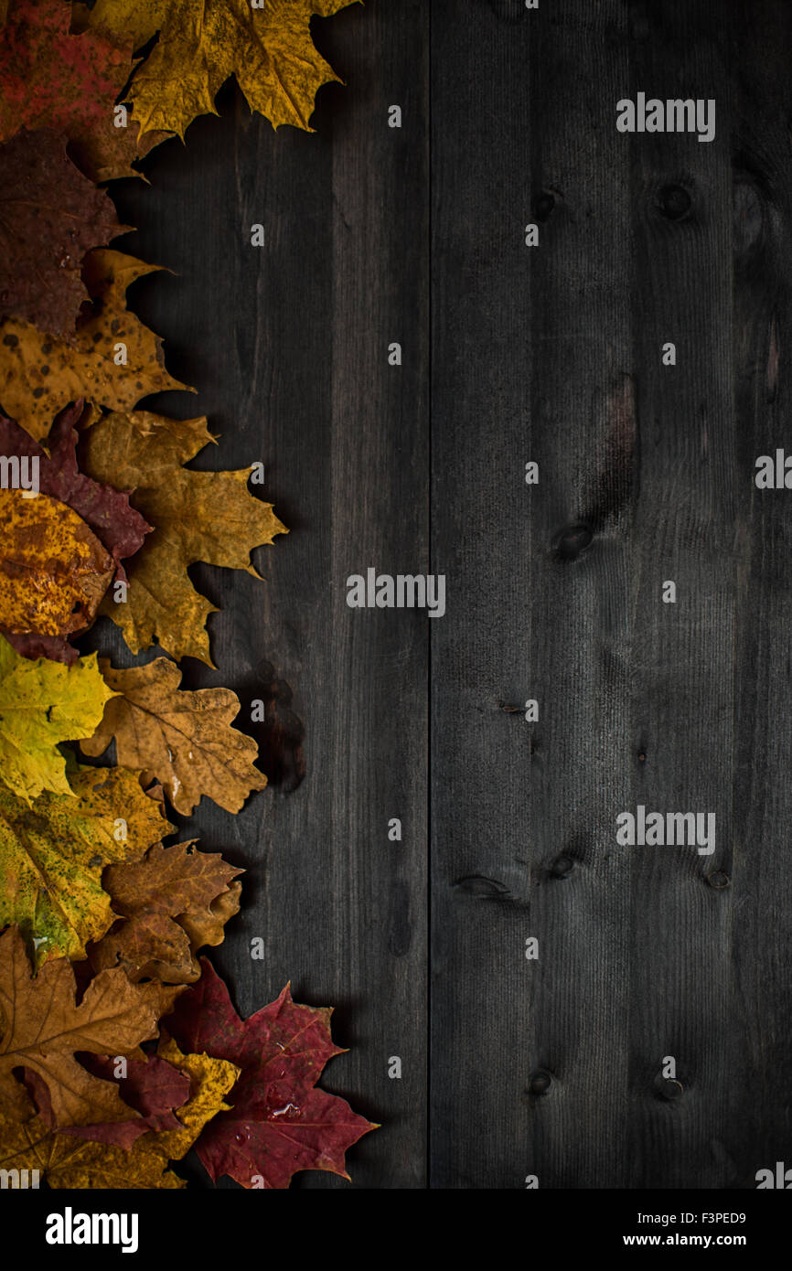 Wood autumn background Stock Photo - Alamy