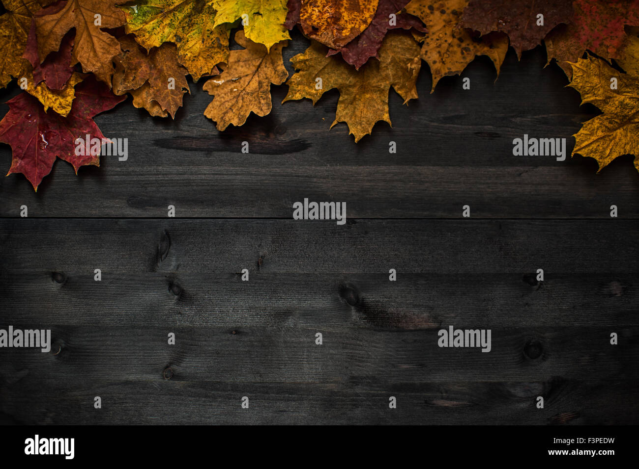Wood autumn background Stock Photo - Alamy