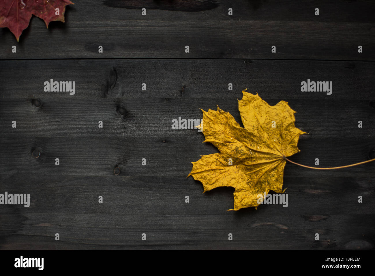Wood autumn background Stock Photo - Alamy