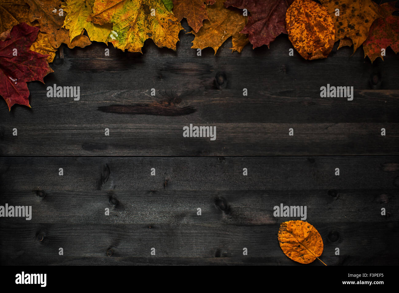 Wood autumn background Stock Photo - Alamy
