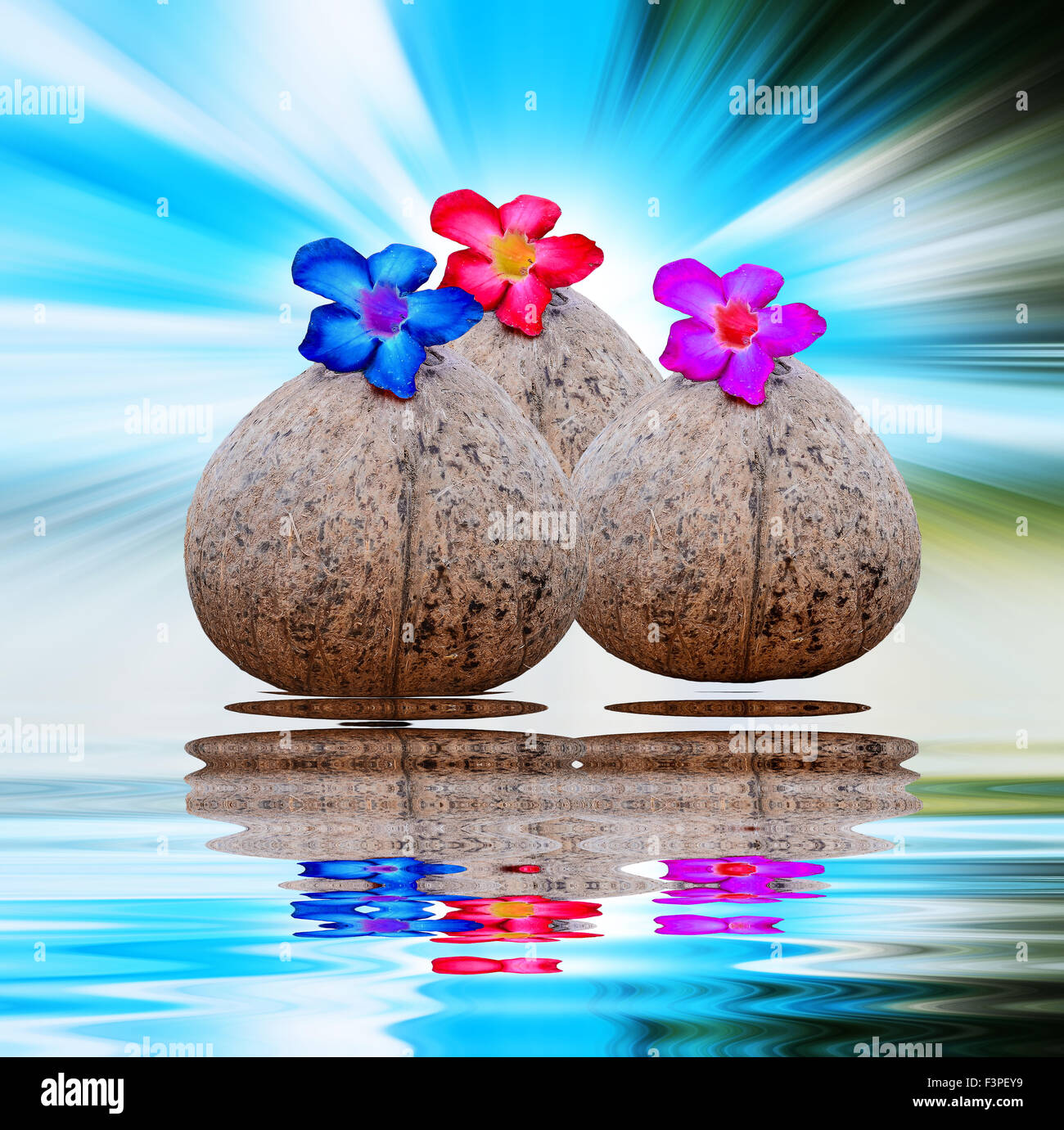 Coconut drink in coconut shell hi-res stock photography and images - Alamy