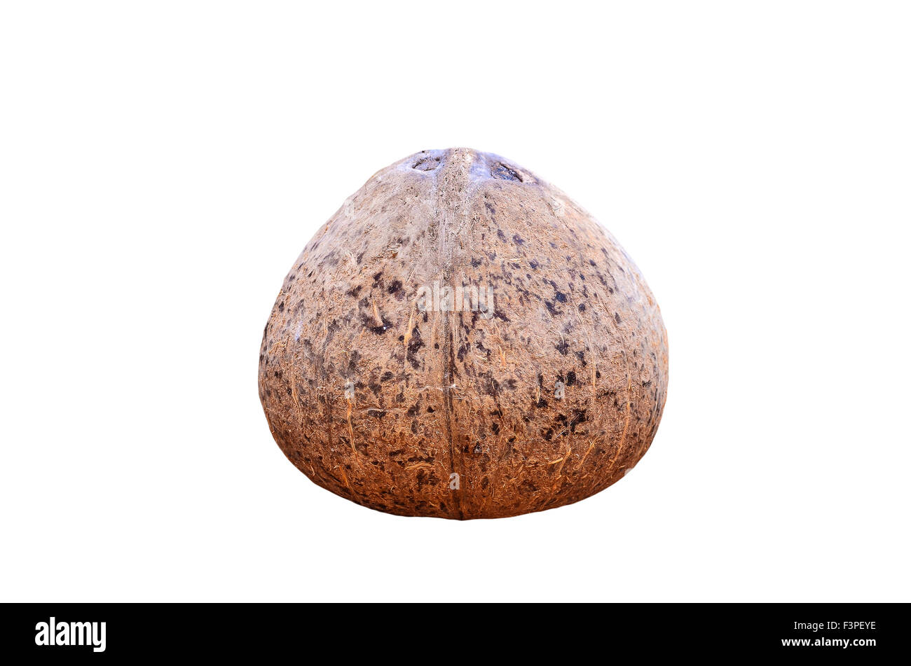 Coconut shell on white background Stock Photo - Alamy