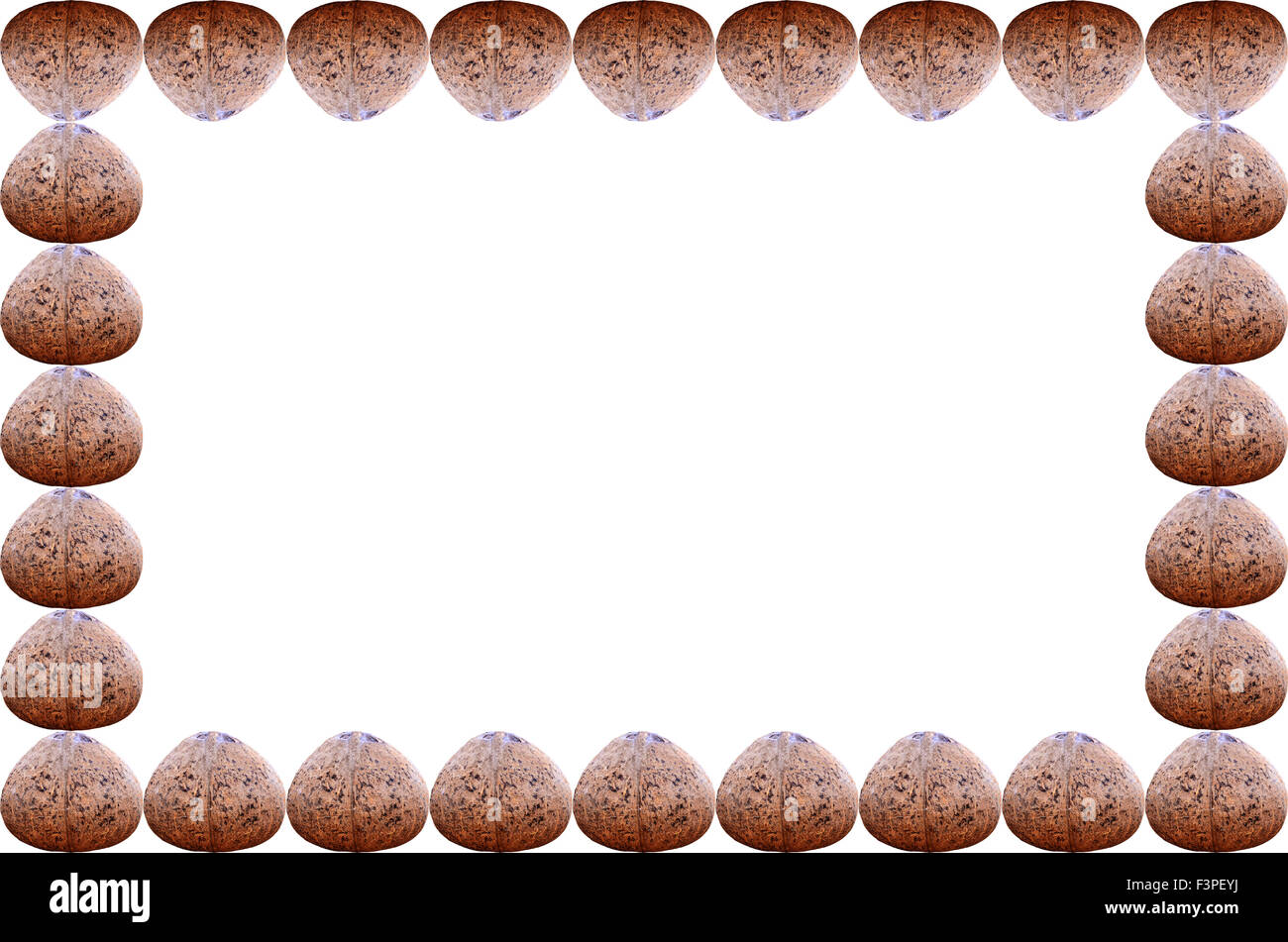 Coconut shell picture fram on white background Stock Photo - Alamy