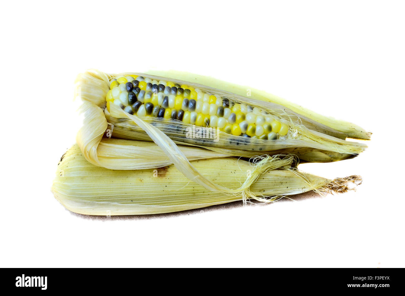 Dried indian fall corn hi-res stock photography and images - Alamy