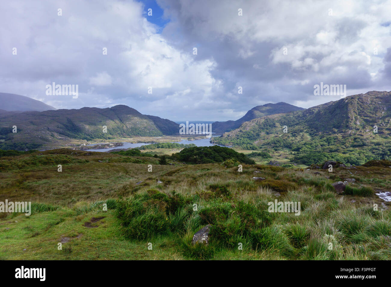 Ladies View Killarney National Park Southern Ireland Stock Photo - Alamy