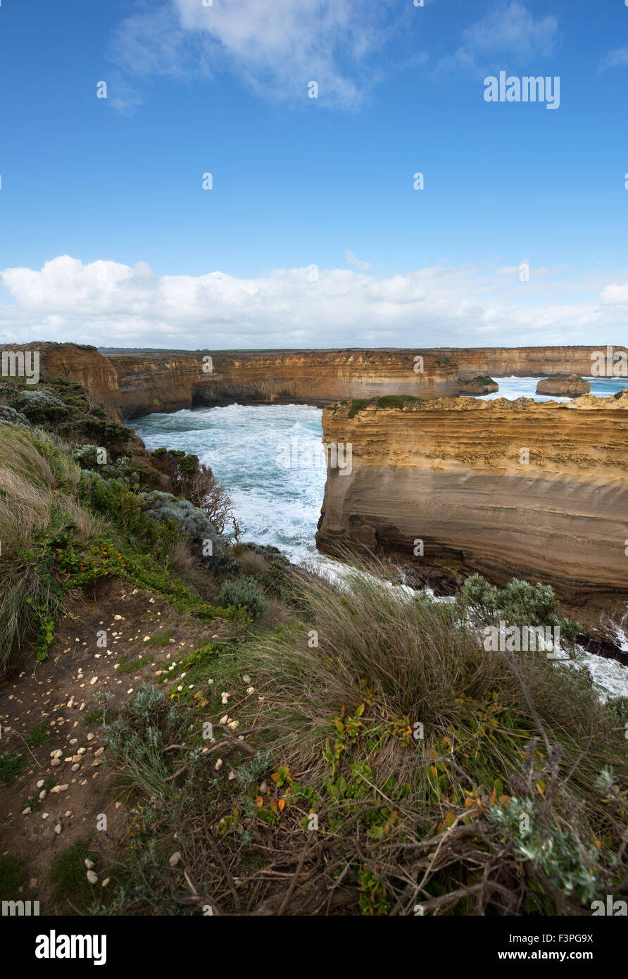 The Razorback limestone rock formation, adjacent to the Great Ocean ...