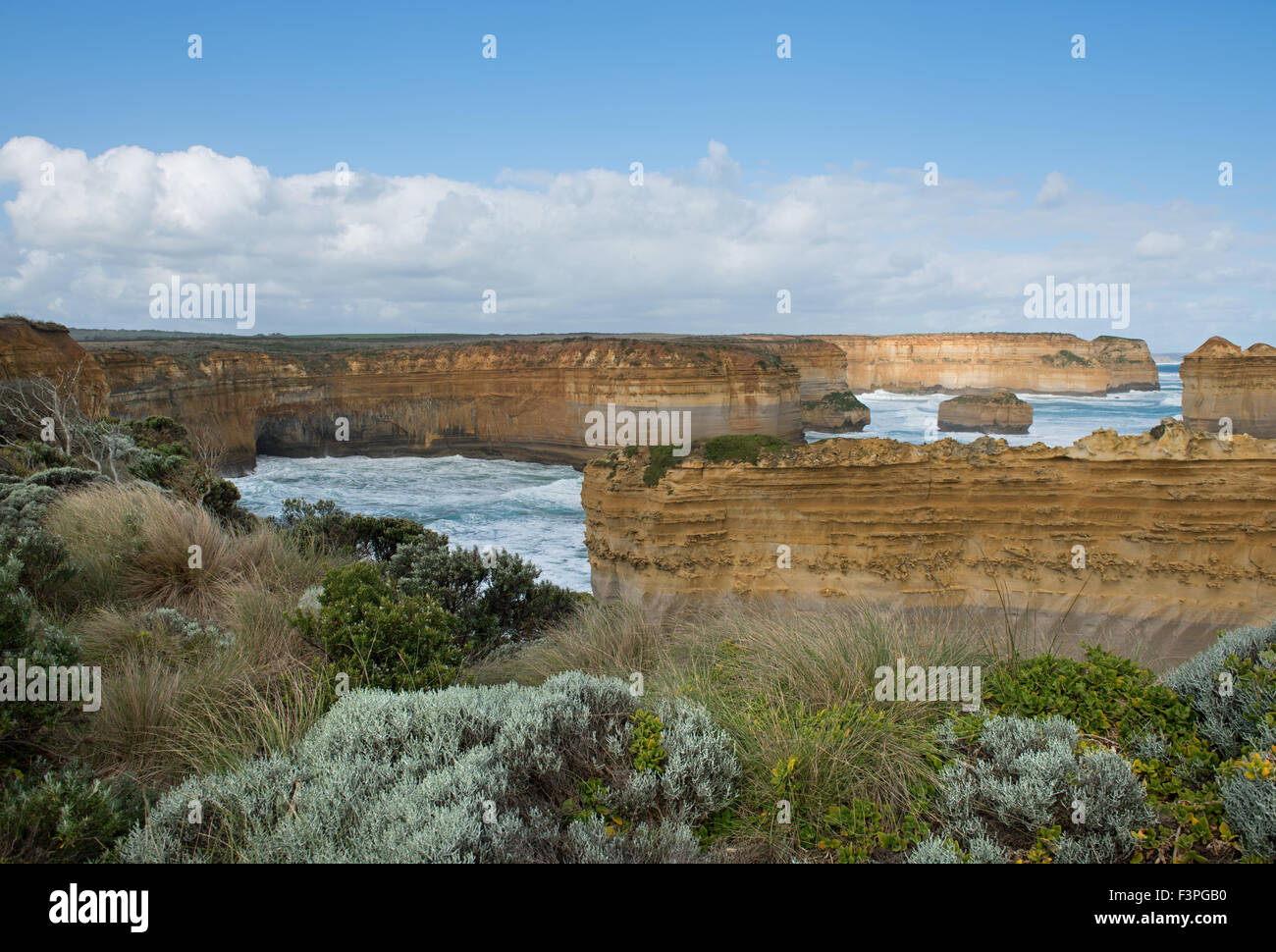 The Razorback limestone rock formation, adjacent to the Great Ocean ...