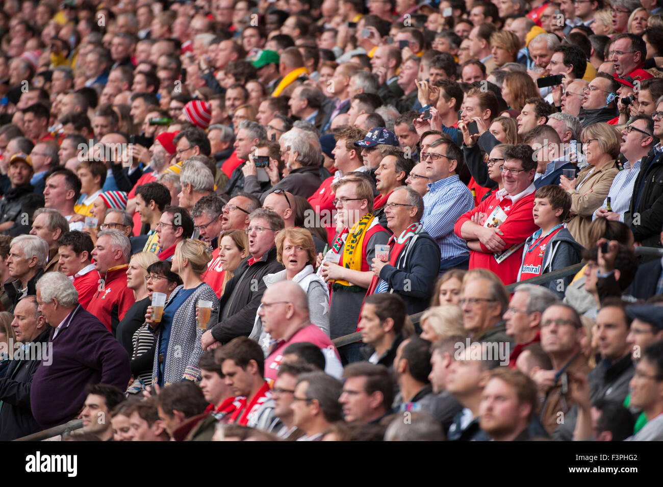 Rugby crowd australia hi-res stock photography and images - Alamy