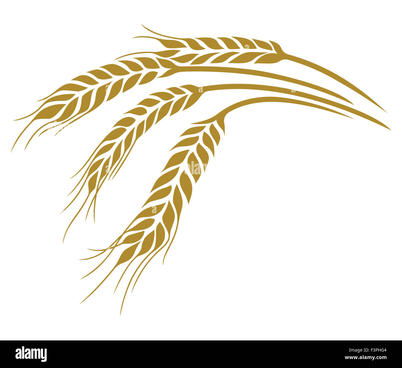 Vector illustrations of the wheat Stock Photo - Alamy
