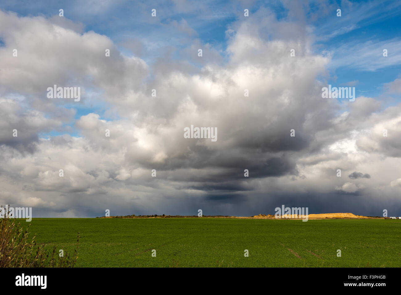 clouds with rain looming on the green field with the young shoots Stock ...