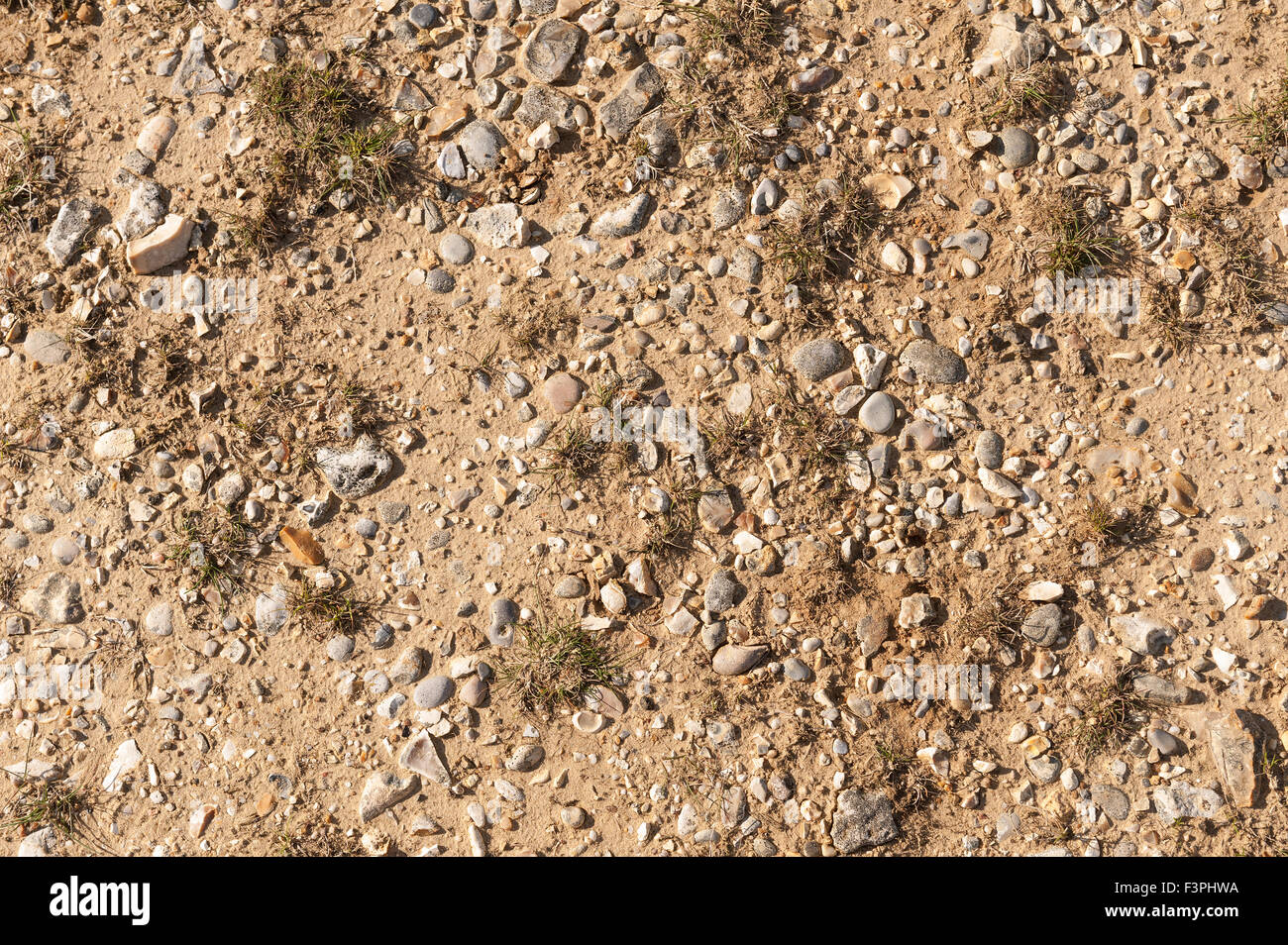 mixed pebbles sand shingle inland colonization of grasses on exposed ...