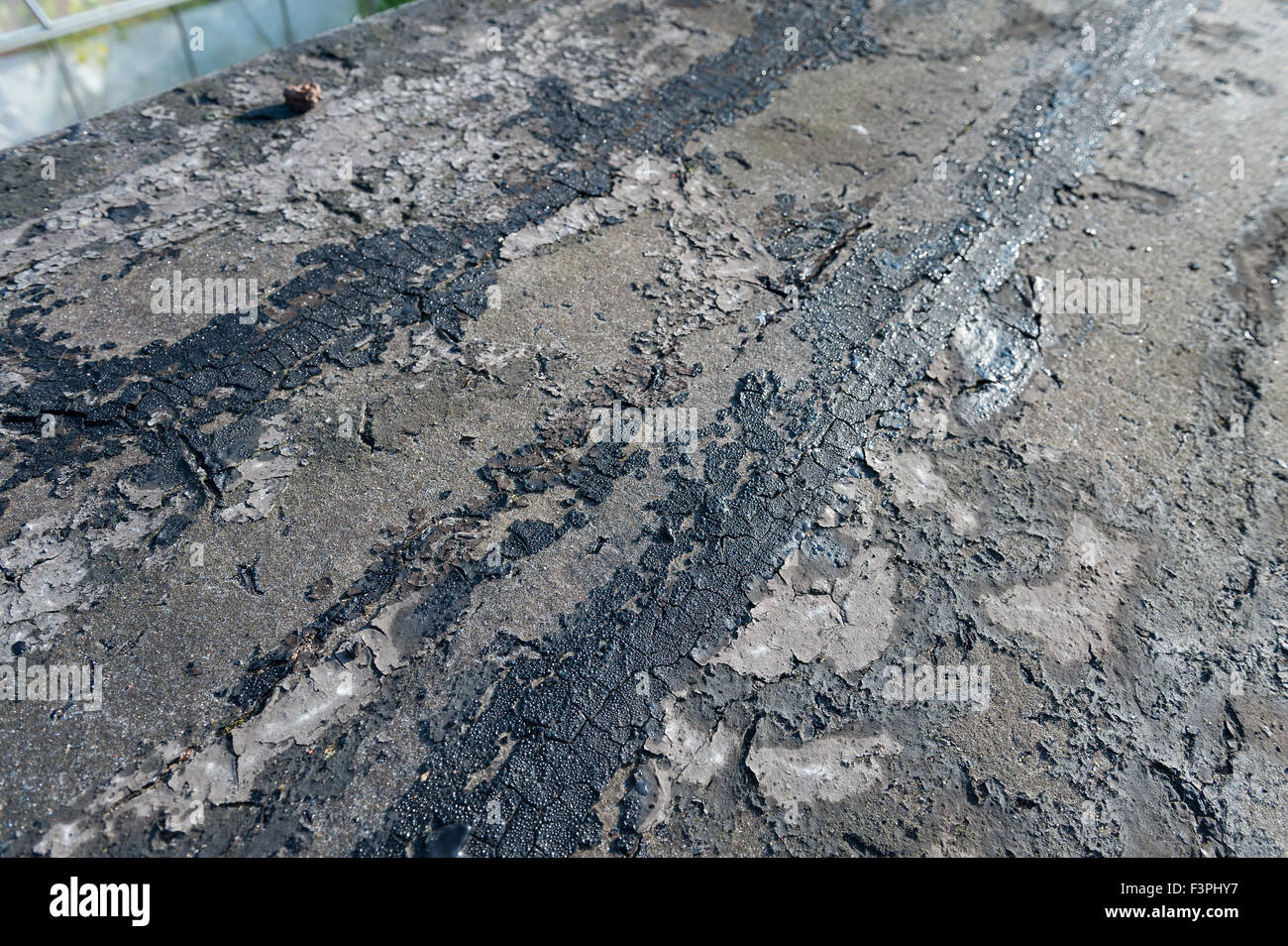 Failing and deteriorating flat roof cracked up opening joint cracks ...