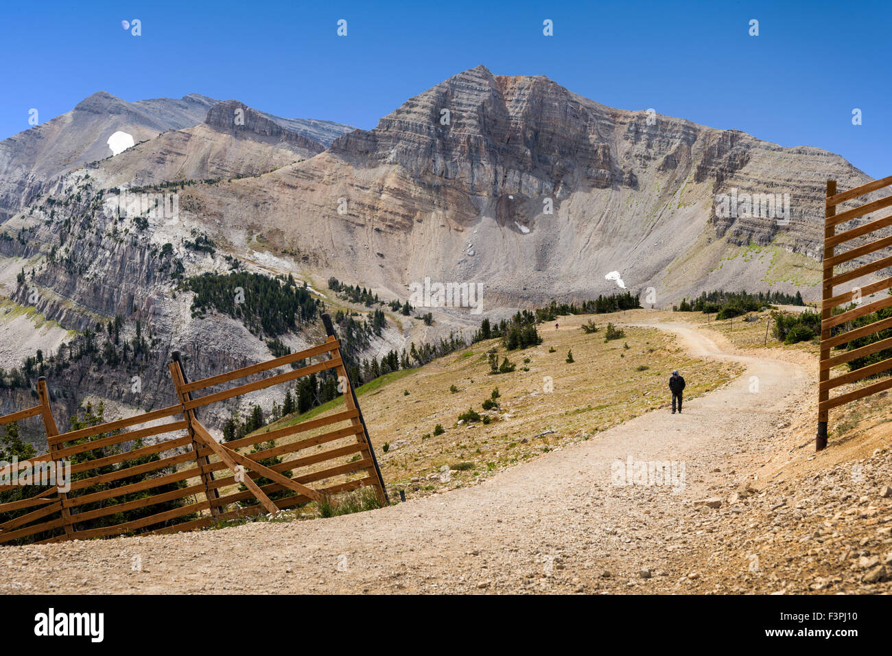 Summer tourists enjoy the view from the top of Jackson Hole Mountain ...