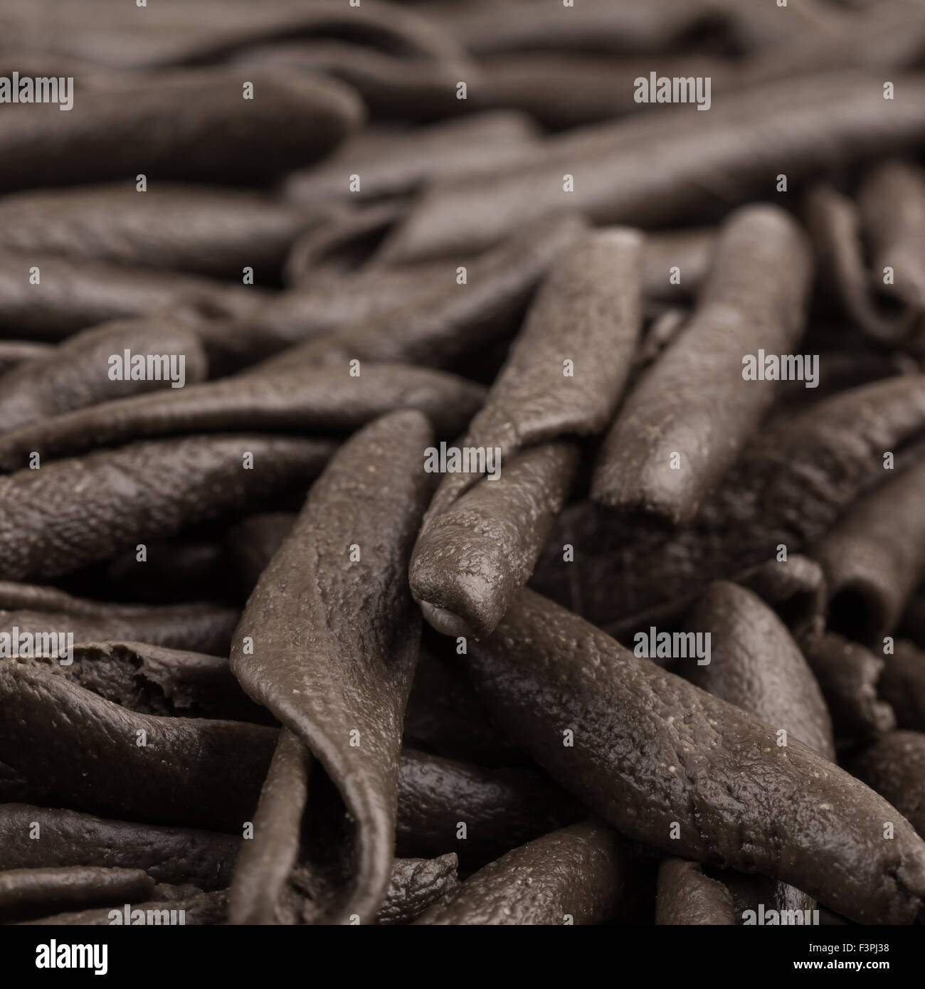 italian seppia pasta fusilli macaroni with cuttlefish ink, for ...