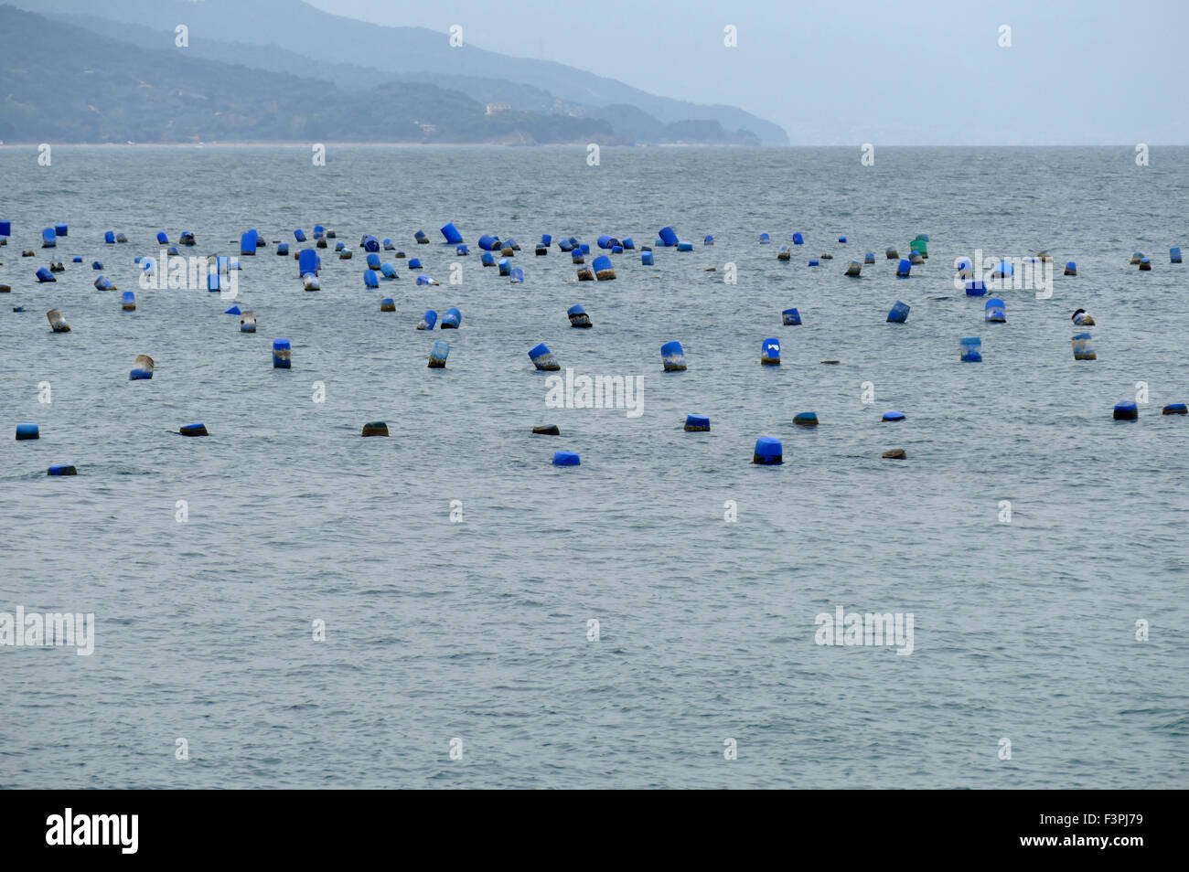 Mussel farm hi-res stock photography and images - Alamy