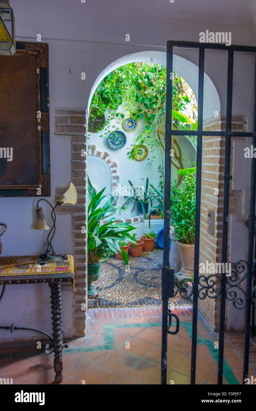 Typical Andalusian courtyard decorated with flowers and forged gates in ...