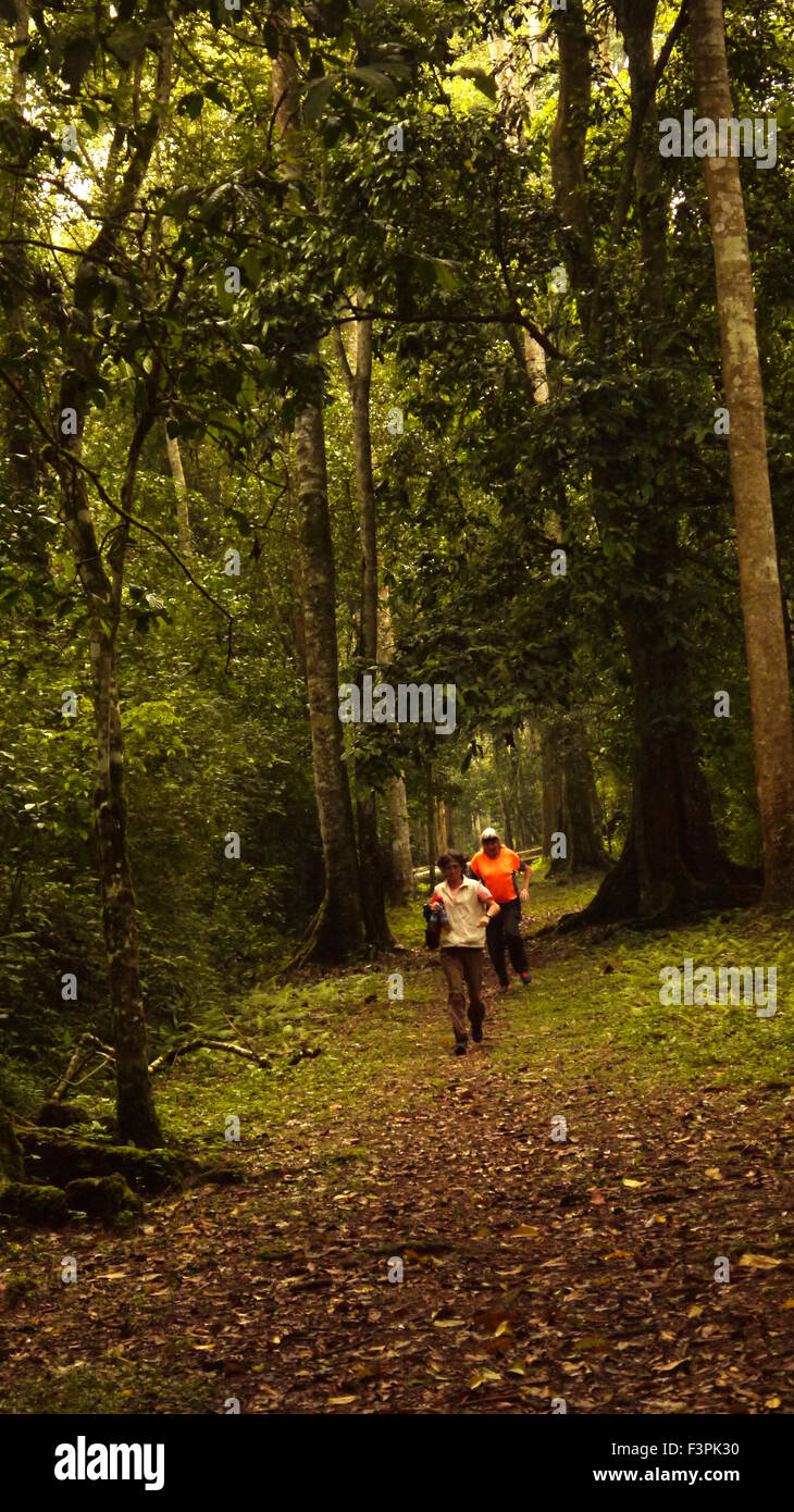 Mpigi, Uganda. 11th October 2015. Eco-tourists having fun at Mpanga ...