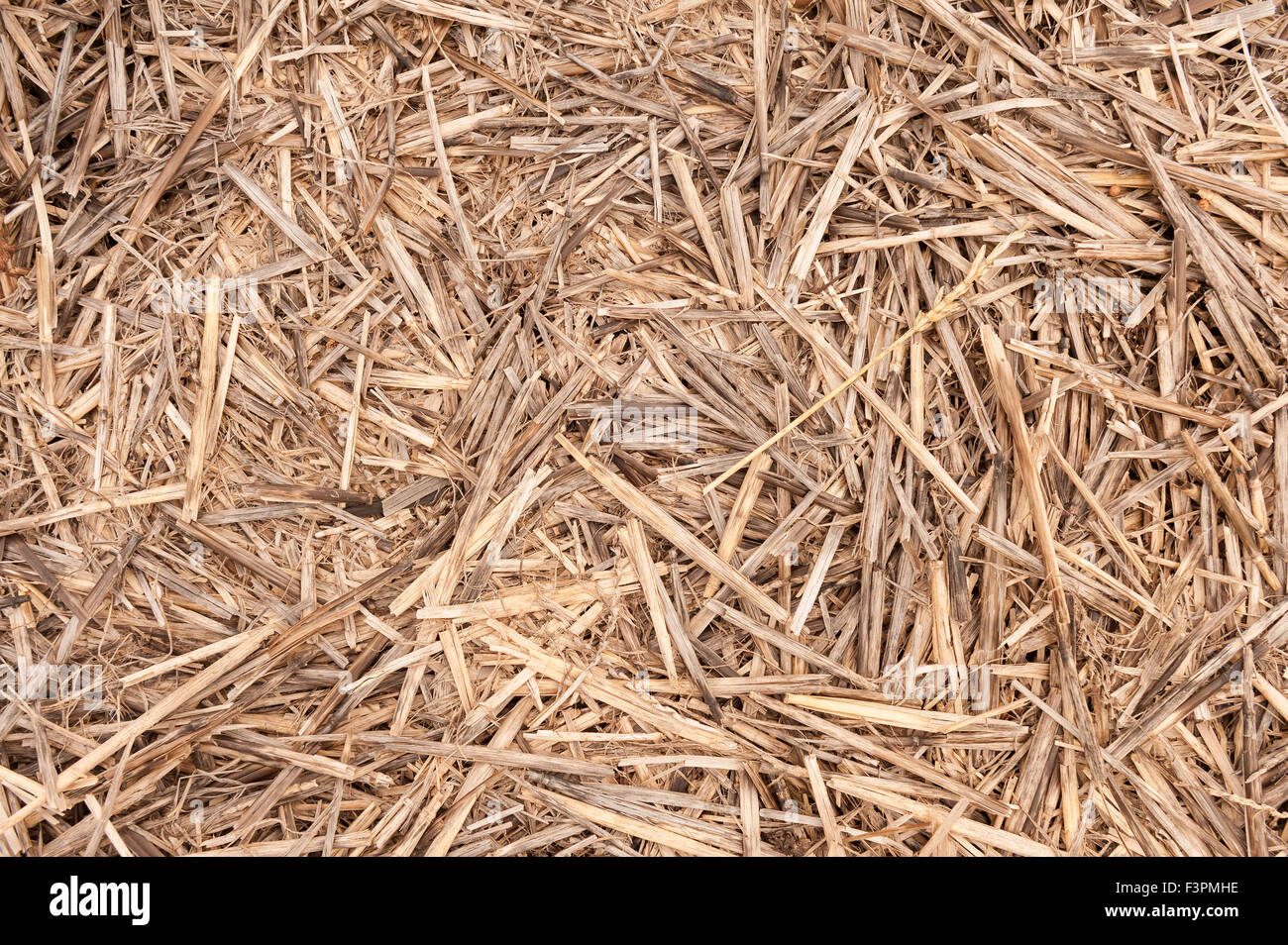 Flattened Crops High Resolution Stock Photography and Images - Alamy