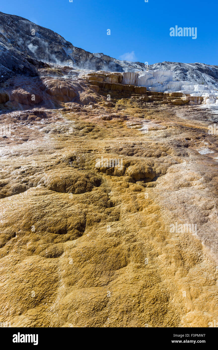 Mammoth hot springs yellowstone hi-res stock photography and images - Alamy