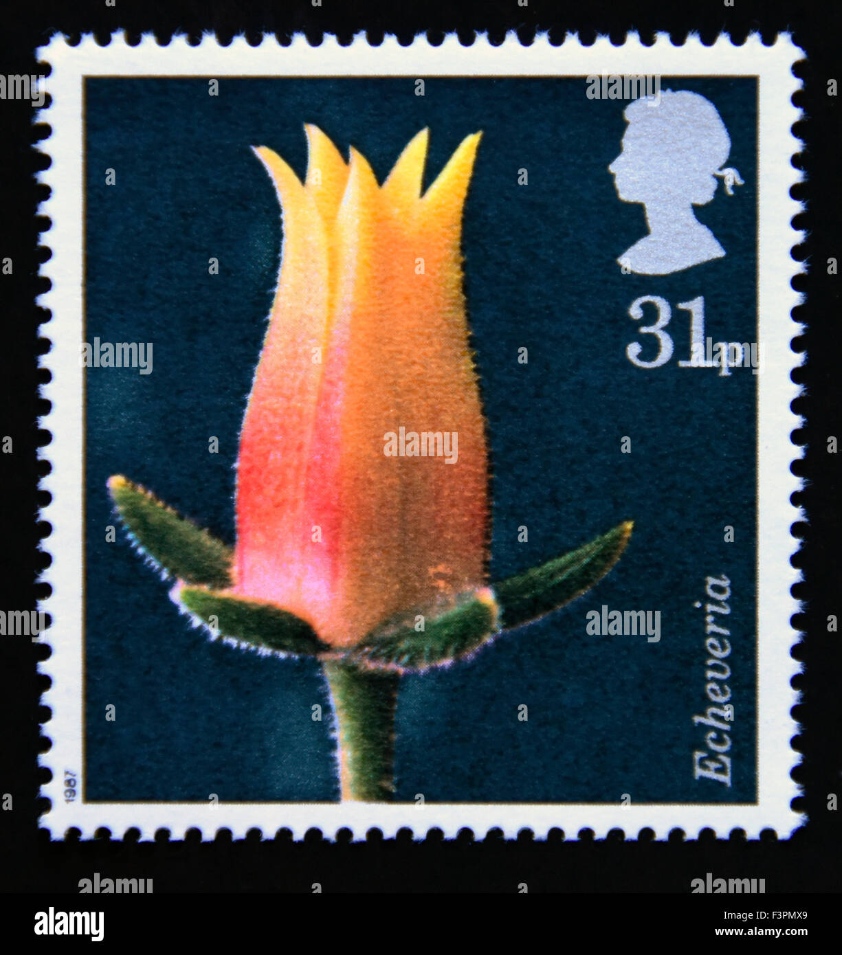 Postage stamp. Great Britain. Queen Elizabeth II. 1987. Flower ...