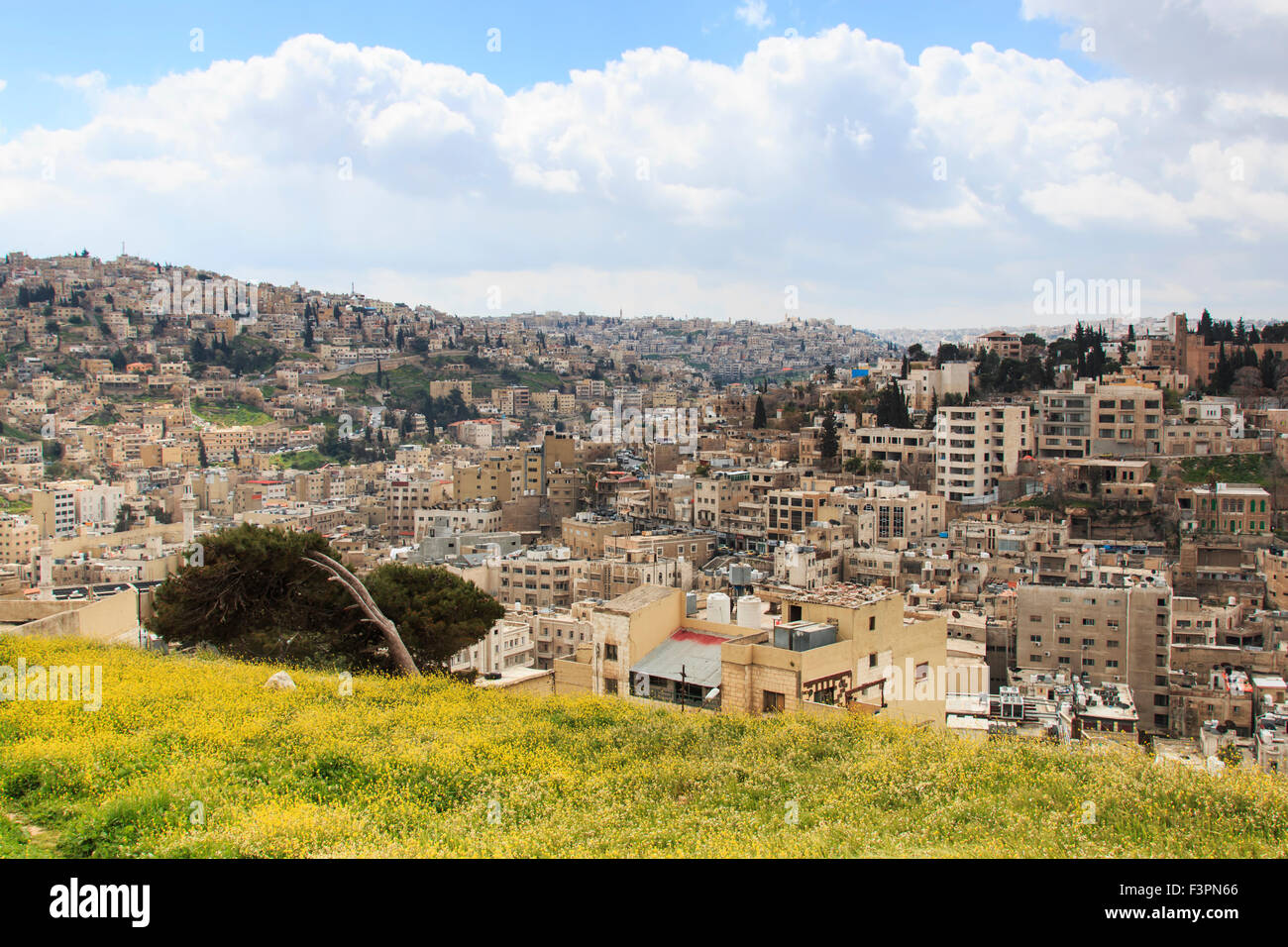 Panoramic view of Amman from the old citadel Stock Photo - Alamy