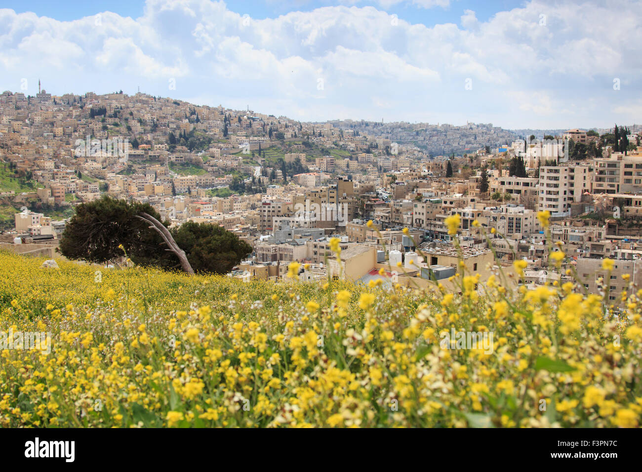 Panoramic view of amman hi-res stock photography and images - Alamy